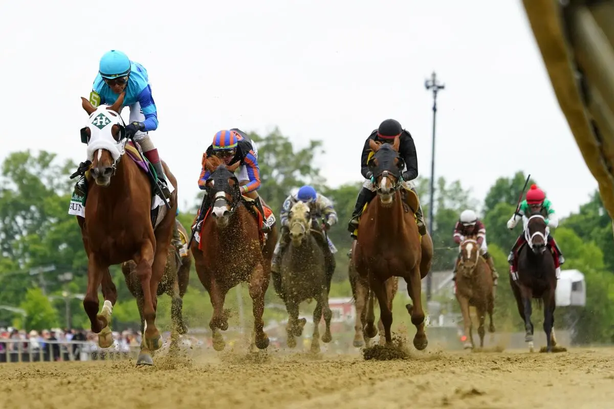 Preakness 2024 – Triumphs Unleashed - Iniative Network