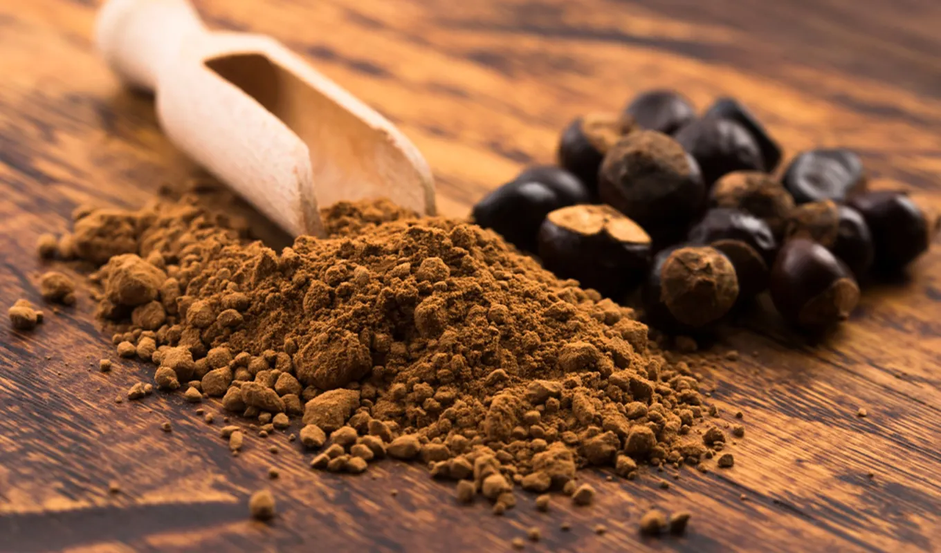 Guarana: Energy of Brazil's Power Berry - Iniative Network