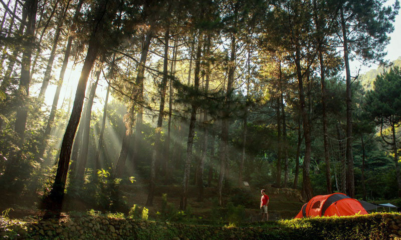 Highland Camp Curug: Destinasi Alam Amazing untuk Liburan